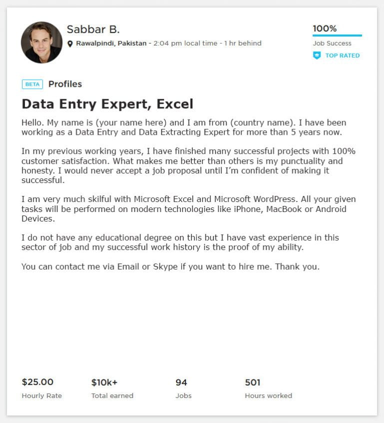 Data Entry Overview Sample & Example for Upwork - Webson Job