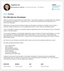 Upwork Overview Sample for Wordpress Developer - Webson Job